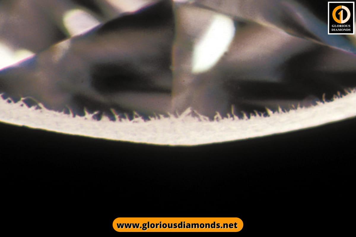 Gia Inclusion Characteristics