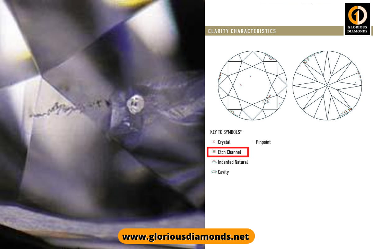 Gia Inclusion Characteristics