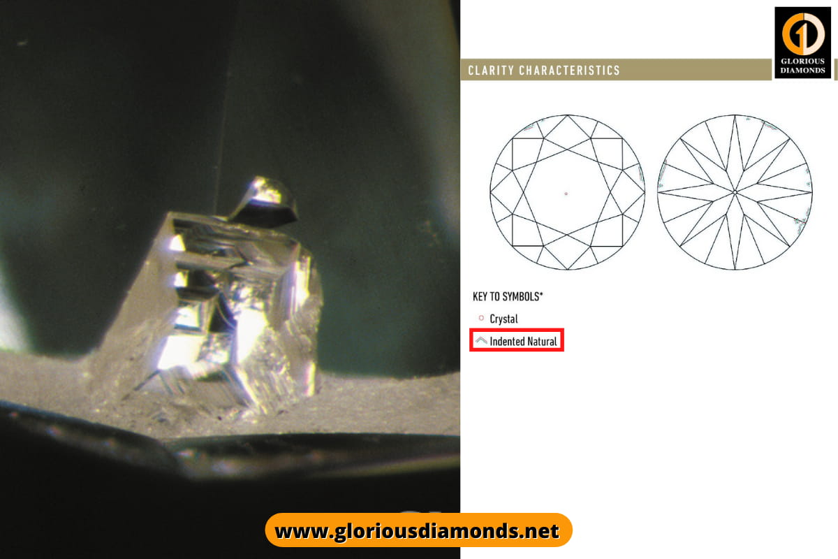 Gia Inclusion Characteristics
