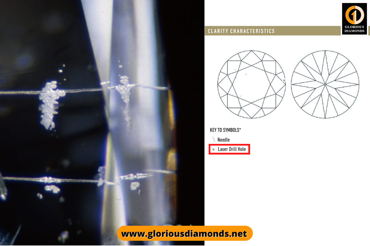 Gia Inclusion Characteristics